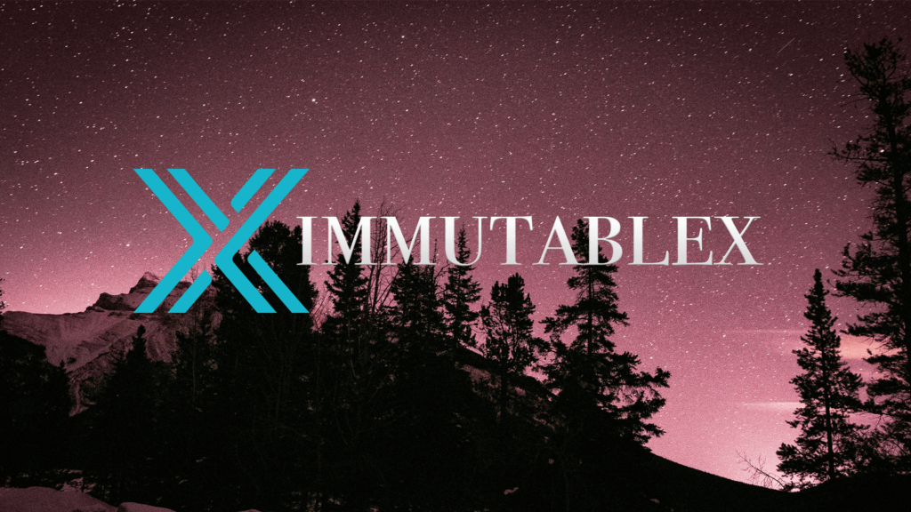 What is ImmutableX? An Ultimate Guide to its ecosystem